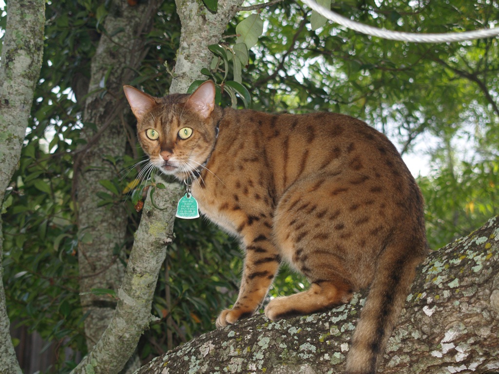 June | 2011 | Stampin' by Genny's Blog